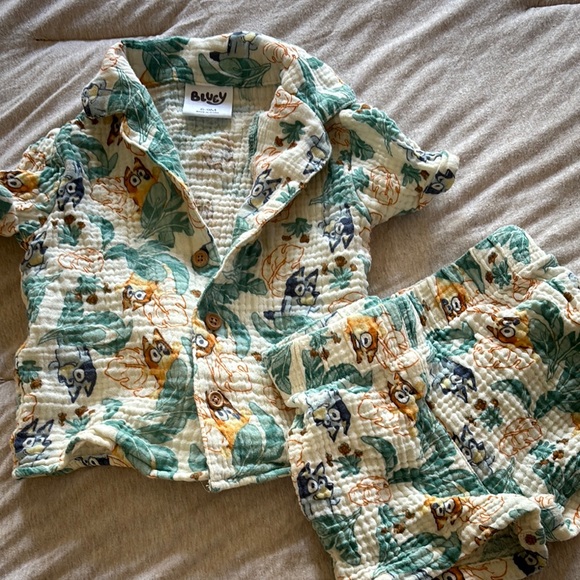 Bluey | Matching Sets | Bluey Button Down Cozy Green And Cream Top ...